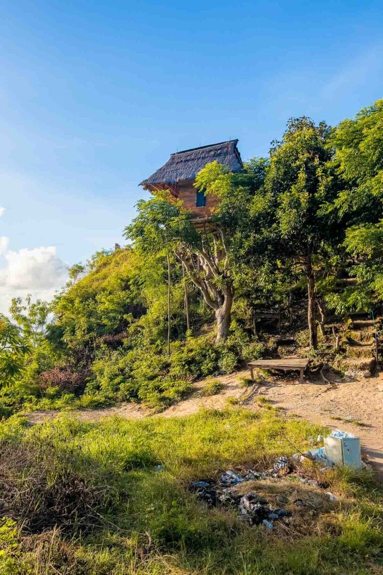 How to Visit the Famous Nusa Penida Treehouse: A Complete Guide | She ...